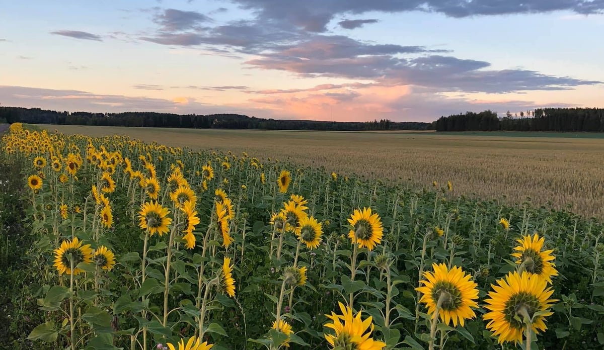 Rototec Geoenergi — Fremtidens smarteste energivalg | Rototec